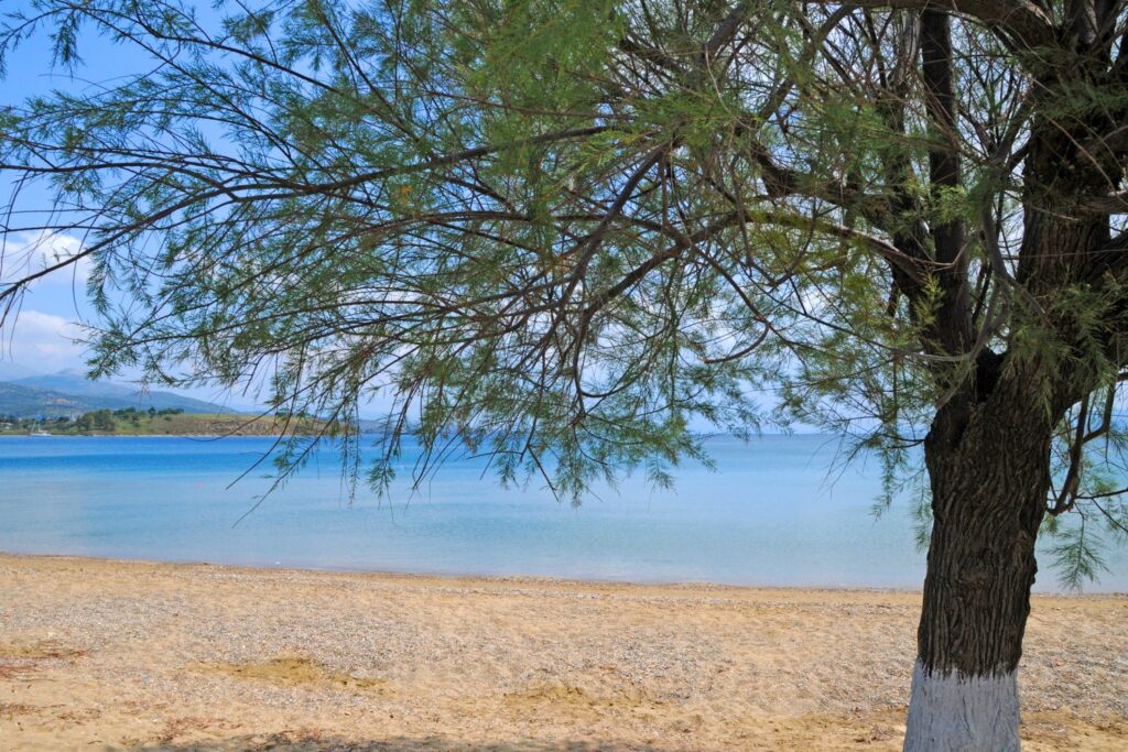 Θαλάσσια Μπάνια | Aetos Tours